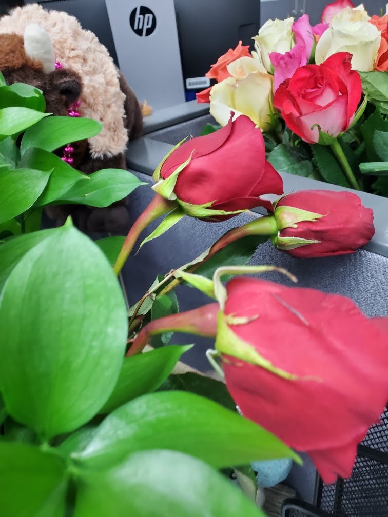 FTD Reviews - 56 Reviews of Ftd.com | Sitejabber