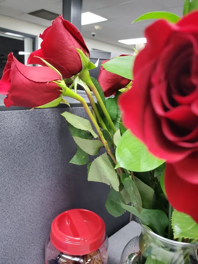 FTD Reviews - 55 Reviews of Ftd.com | Sitejabber