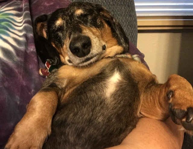 JustAnswer Reviews - 2,267 Reviews of Justanswer.com | Sitejabber