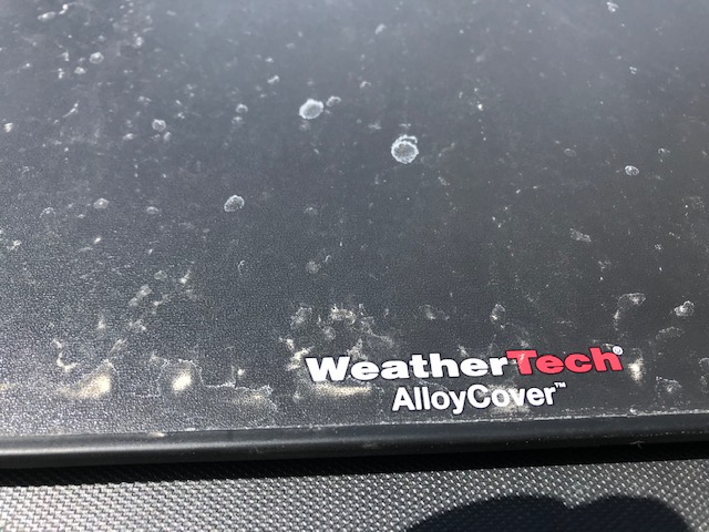 WeatherTech Reviews - 43 Reviews of Weathertech.com | Sitejabber