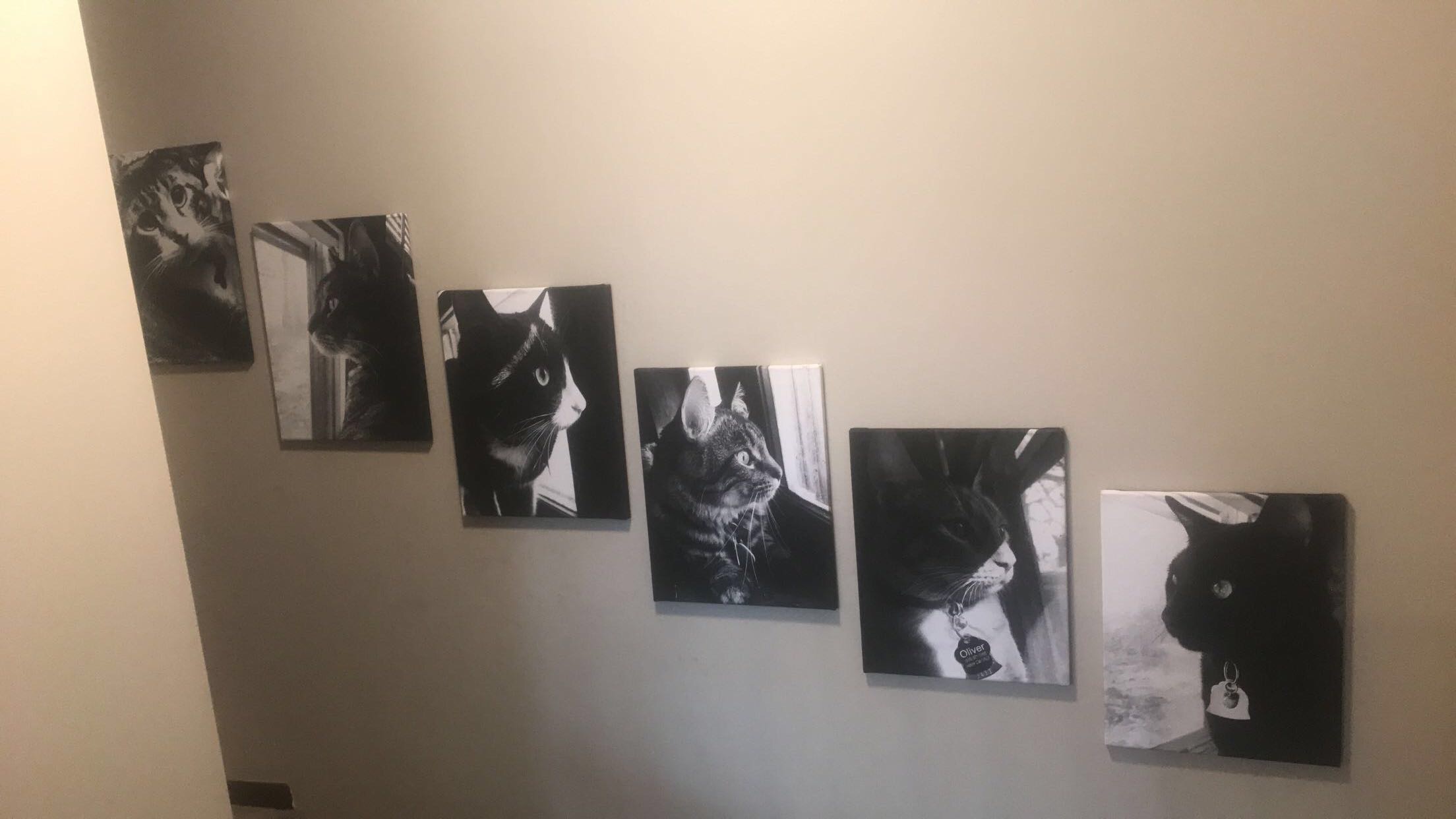 PrinterPix Reviews - 1,241 Reviews of Printerpix.com | Sitejabber