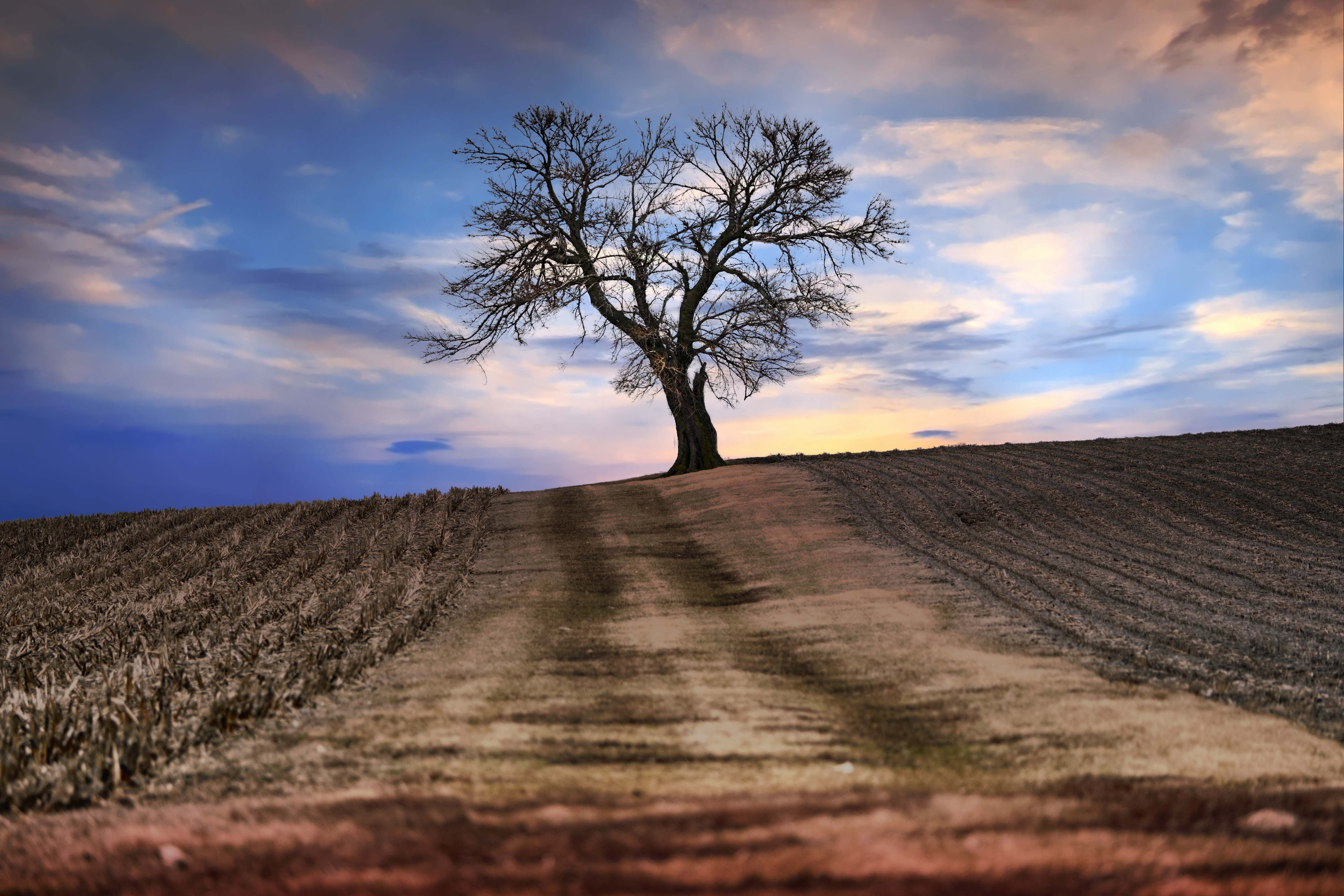 YouPic Reviews - 37 Reviews of Youpic.com | Sitejabber