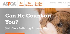 ASPCA.org Reviews - 2 Reviews of Aspca.org | Sitejabber